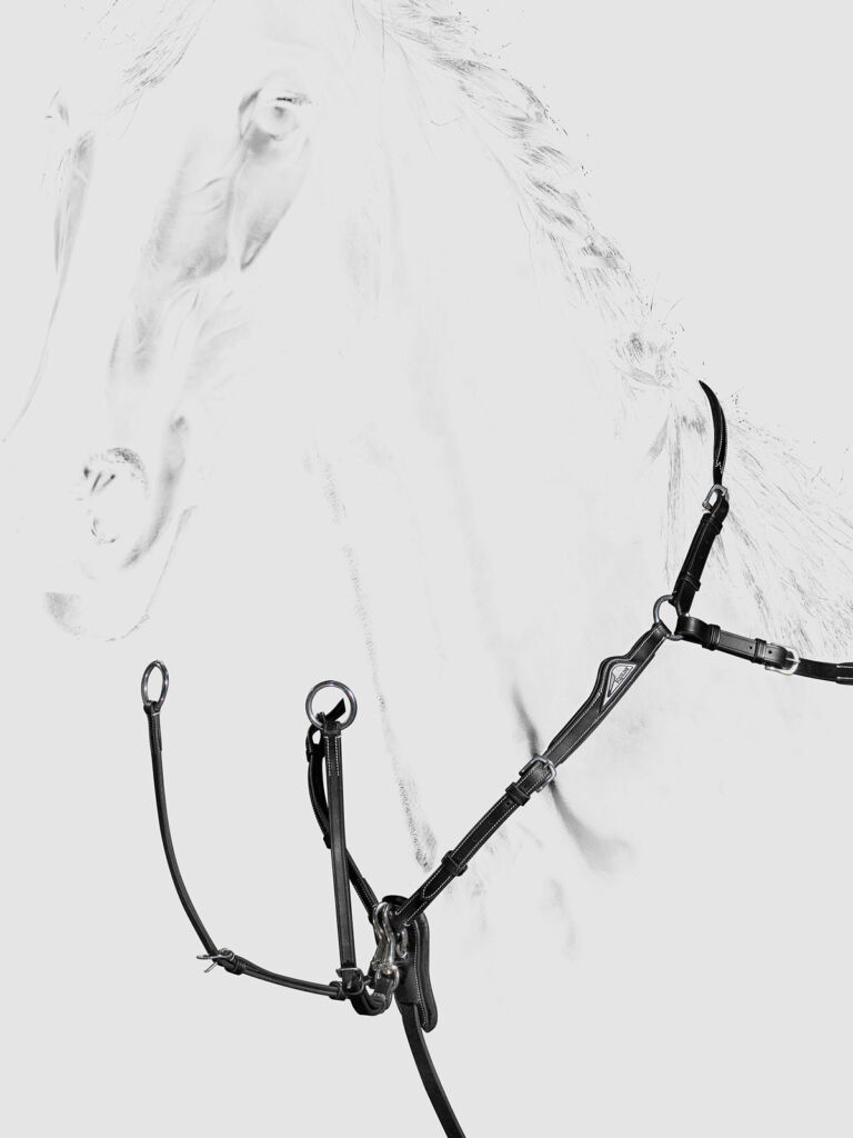 3-Point Breastplate with Running Martingale Attachment