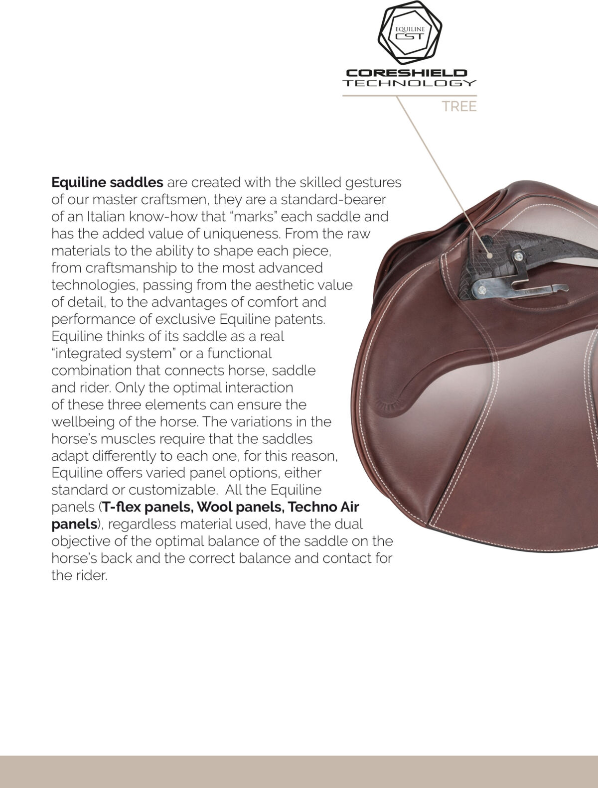 Our Saddle Technology & Innovation - Equiline America