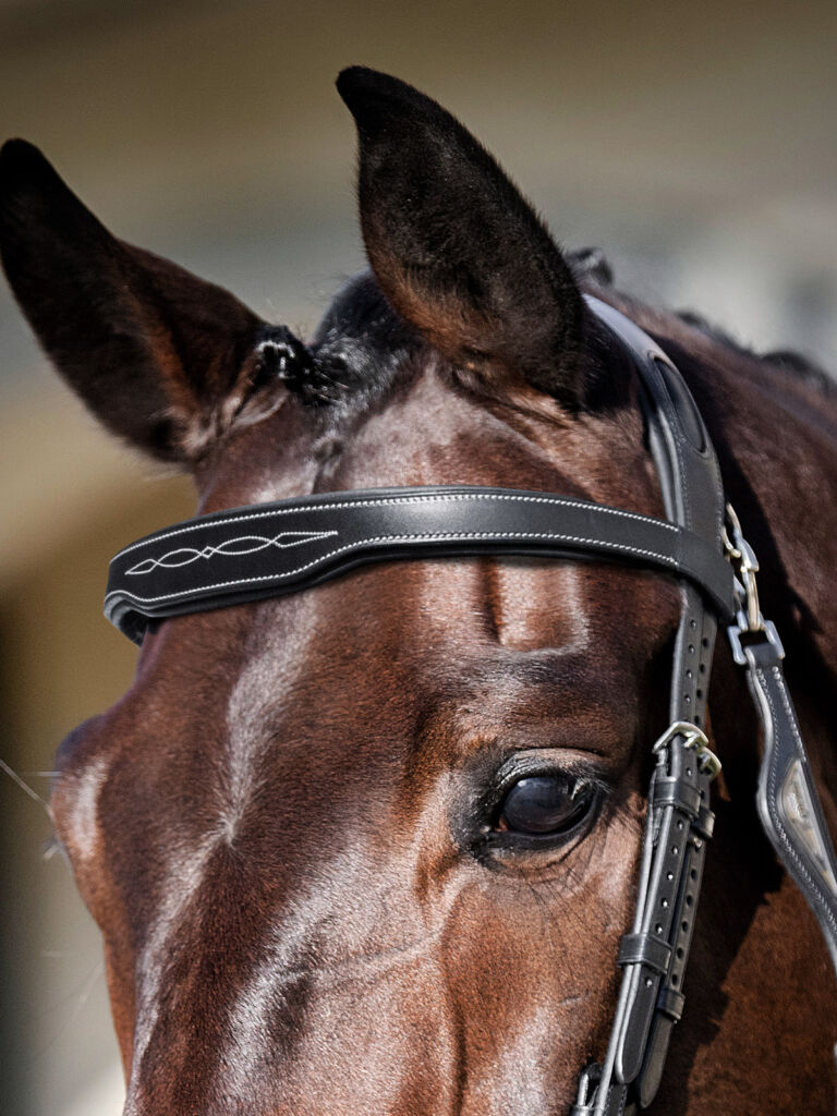 Fancy Stitched Browband with Square Cut Design - Equiline