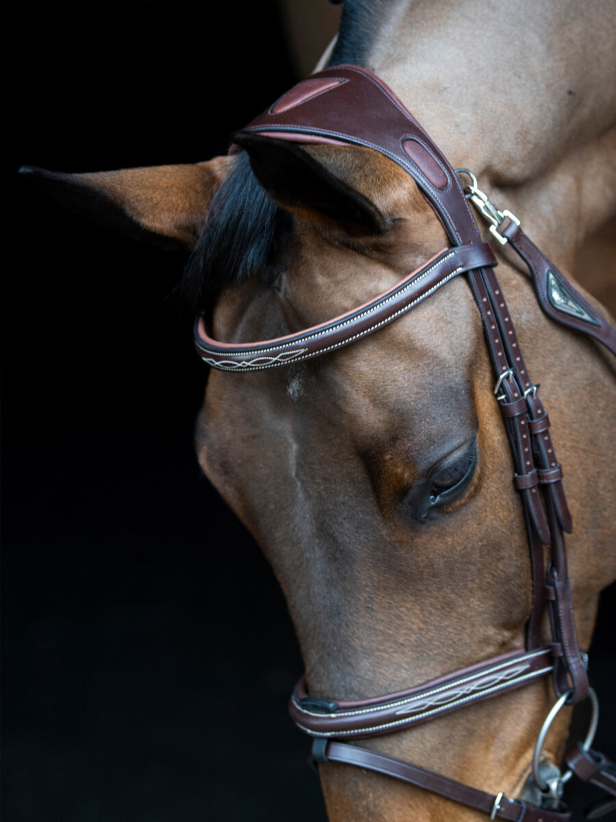 Build Your Own Custom Horse Bridle - Equiline