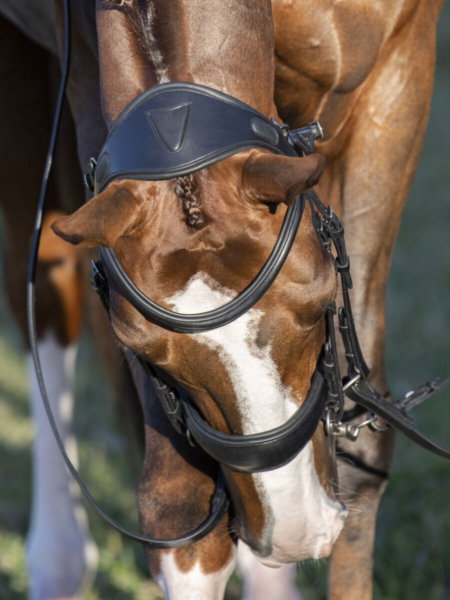 Extra Wide Anatomical Crown Piece for Double Bridle - Equiline
