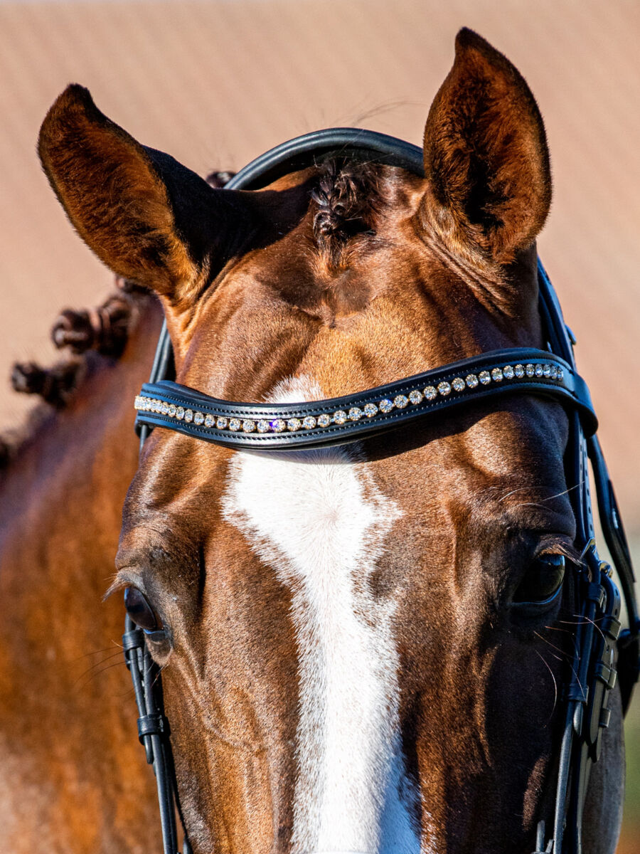 Build Your Own Custom Horse Bridle - Equiline