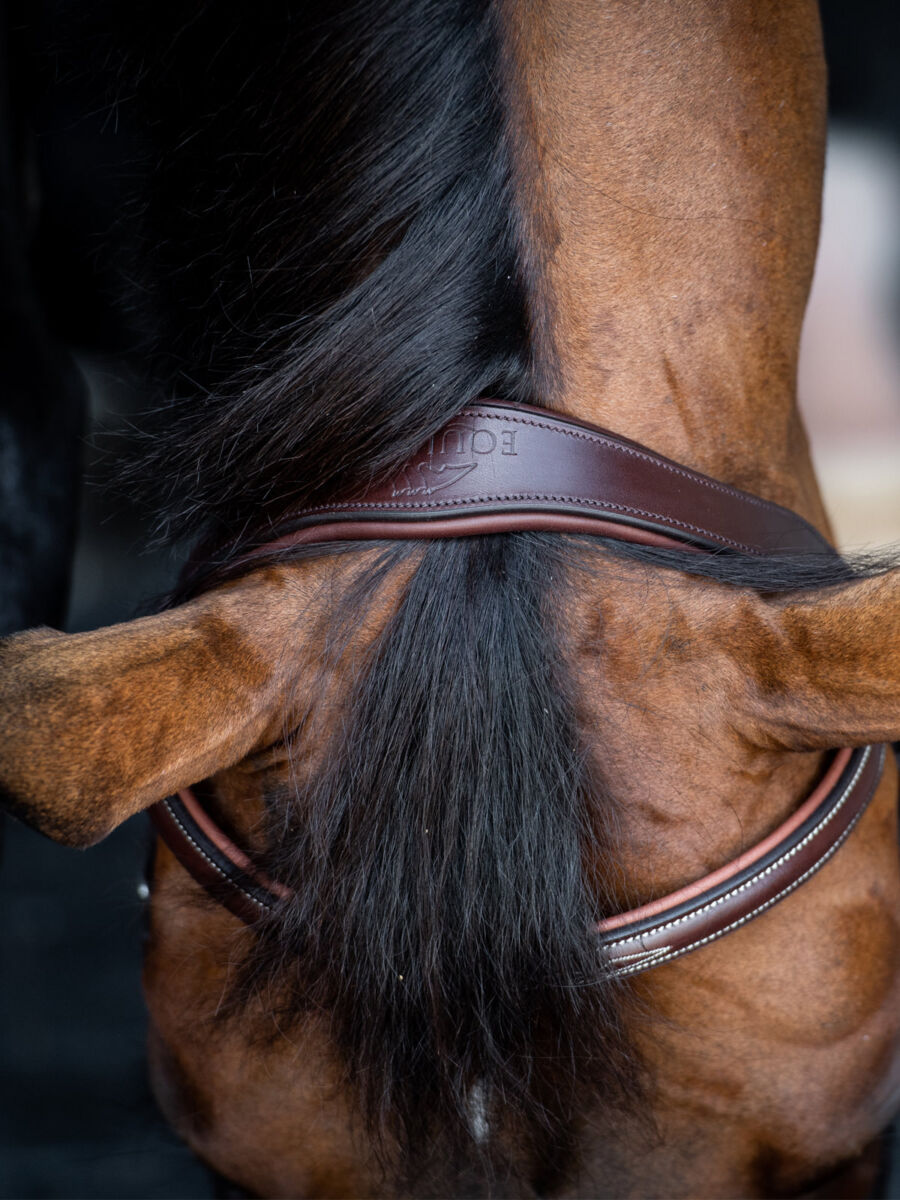 Build Your Own Custom Horse Bridle - Equiline
