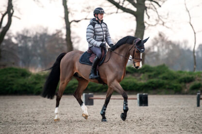 Equestrian Clothing and Equipment - Equiline America Online